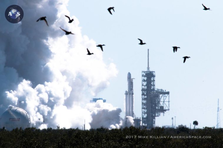 Falcon Heavy Roars to Life as Successful Test Fire Paves Way for ...